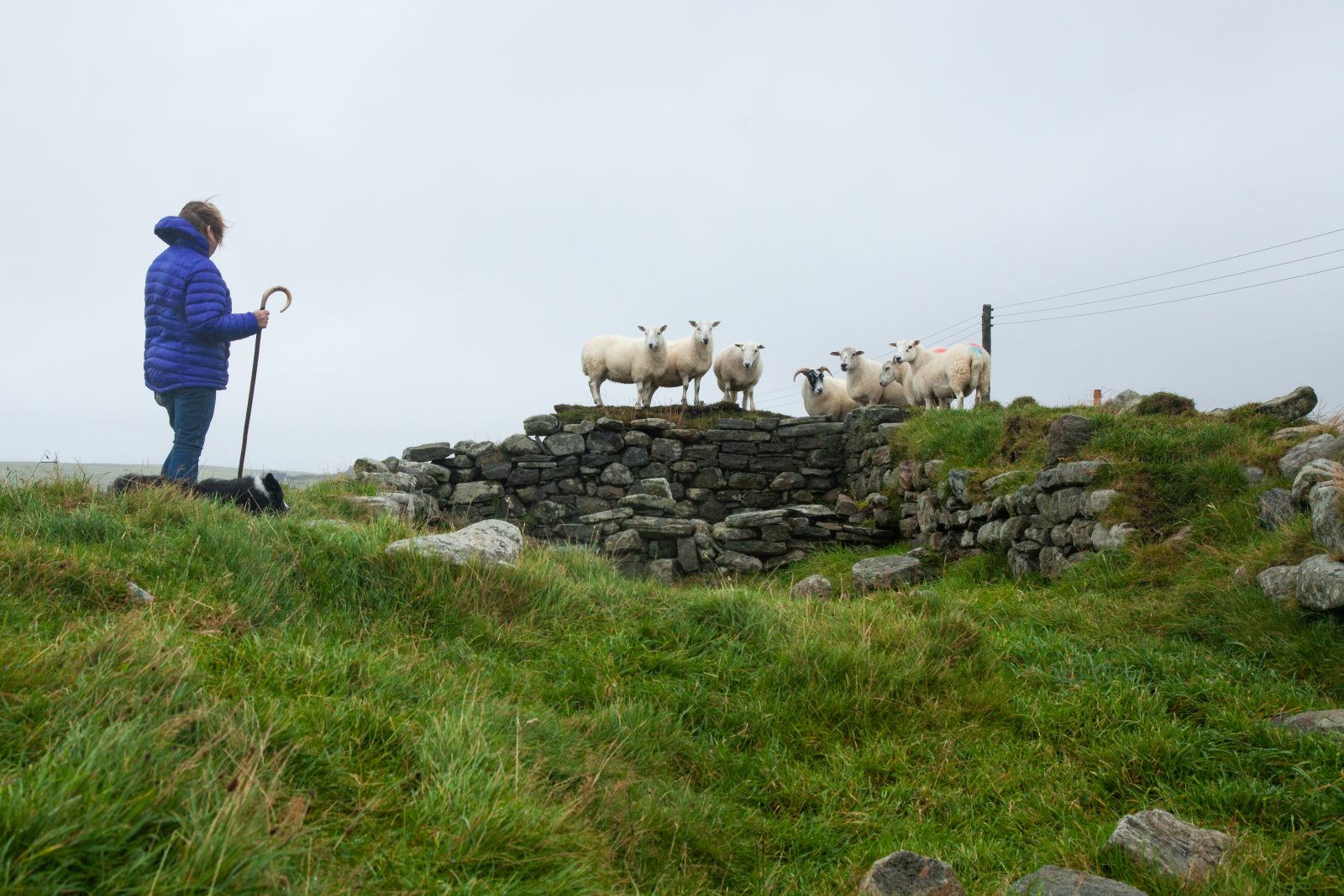 Flora the Crofter - The Harris Tweed Authority