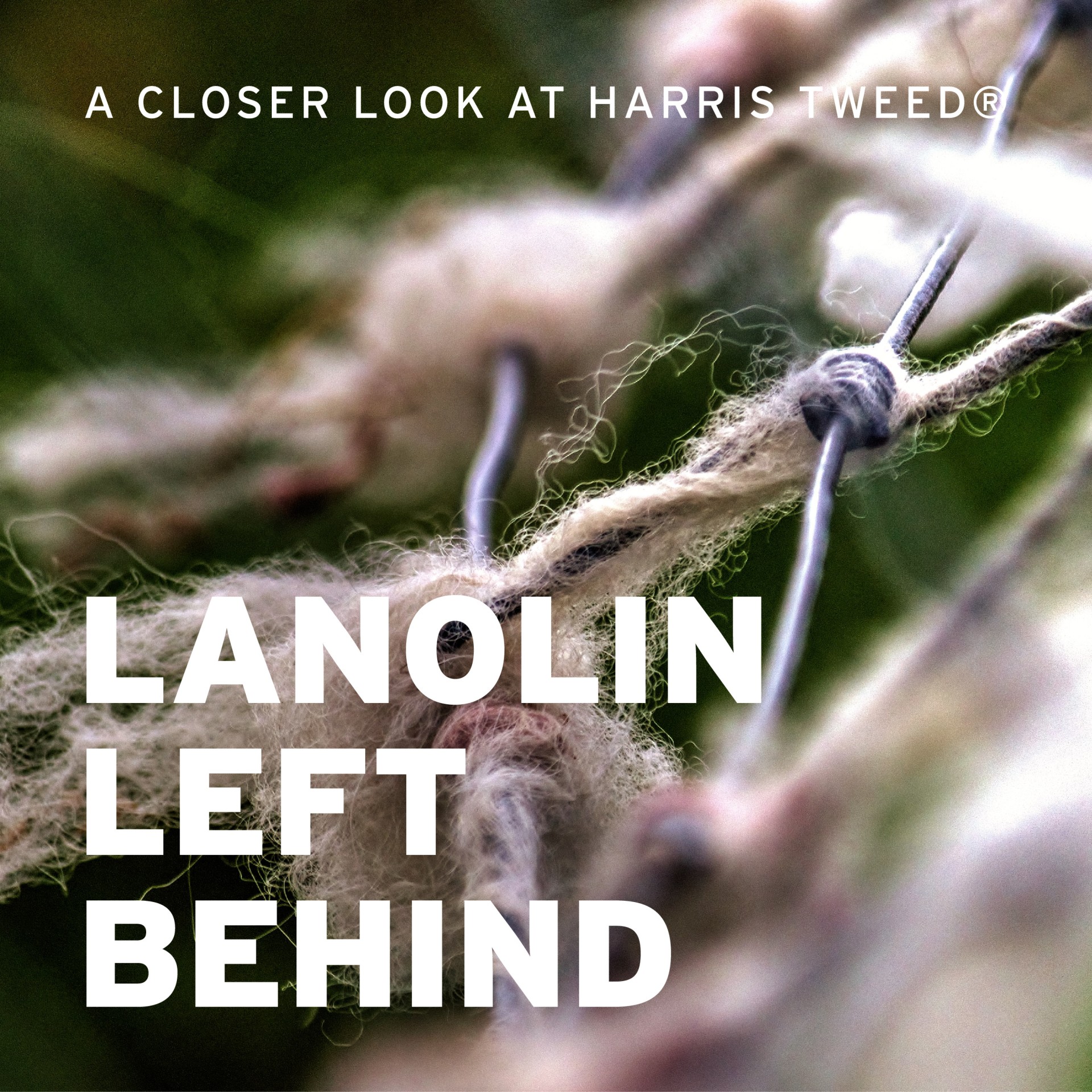 A CLOSER LOOK AT HARRIS TWEED®: PART 8 - The Harris Tweed Authority