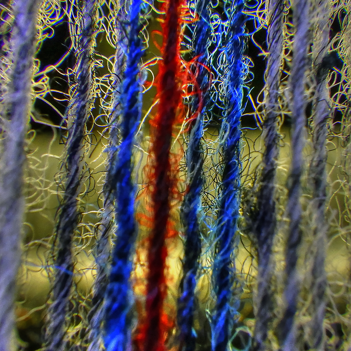 A CLOSER LOOK AT HARRIS TWEED®: PART 3 - The Harris Tweed Authority