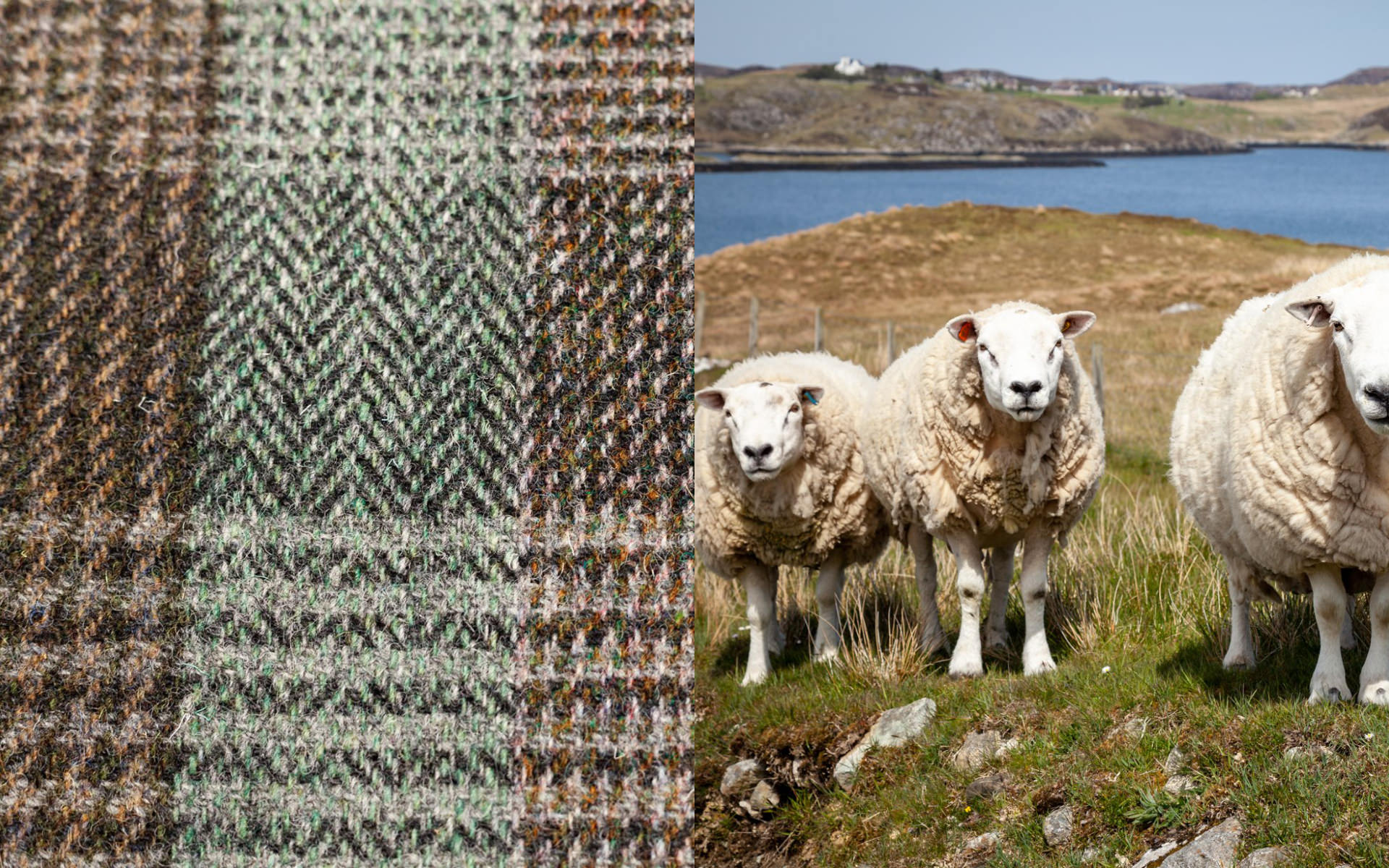 Why Wool? It's Resilient! - The Harris Tweed Authority