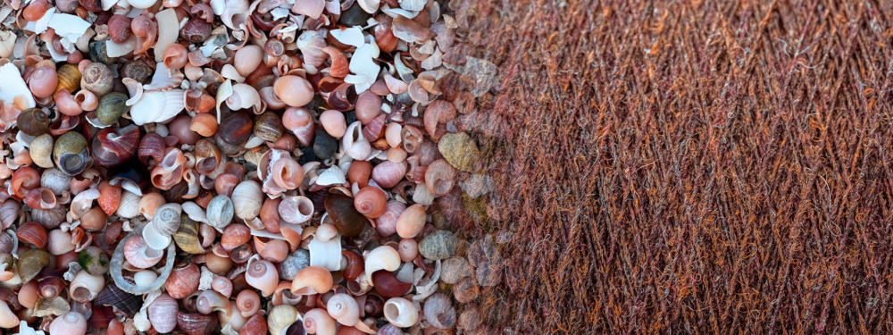 Sea shells - The Harris Tweed Authority