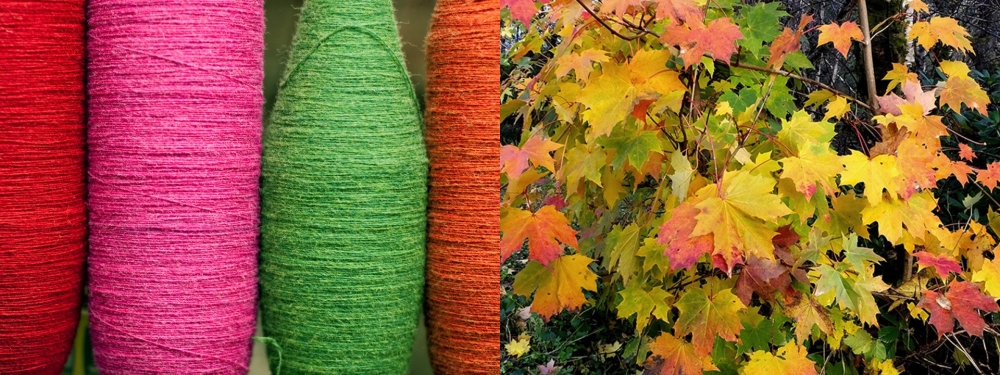 Changing of Seasons - The Harris Tweed Authority