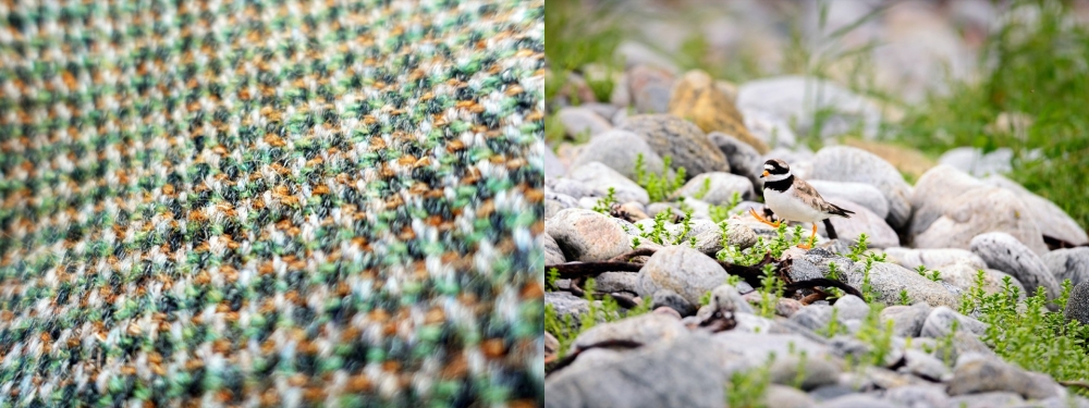 Plover & Pattern - The Harris Tweed Authority