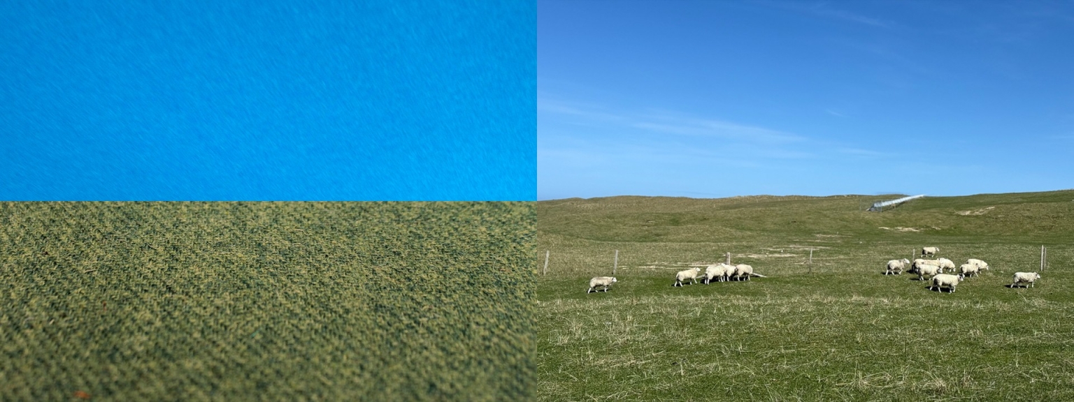 Happiness in colour - The Harris Tweed Authority