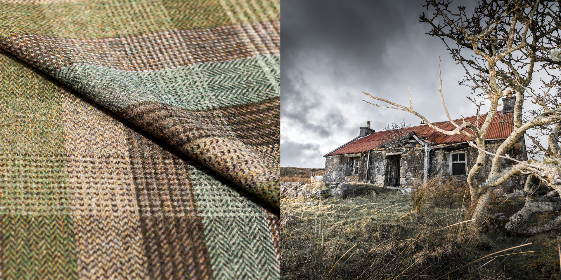The Photographer's Eye - The Harris Tweed Authority
