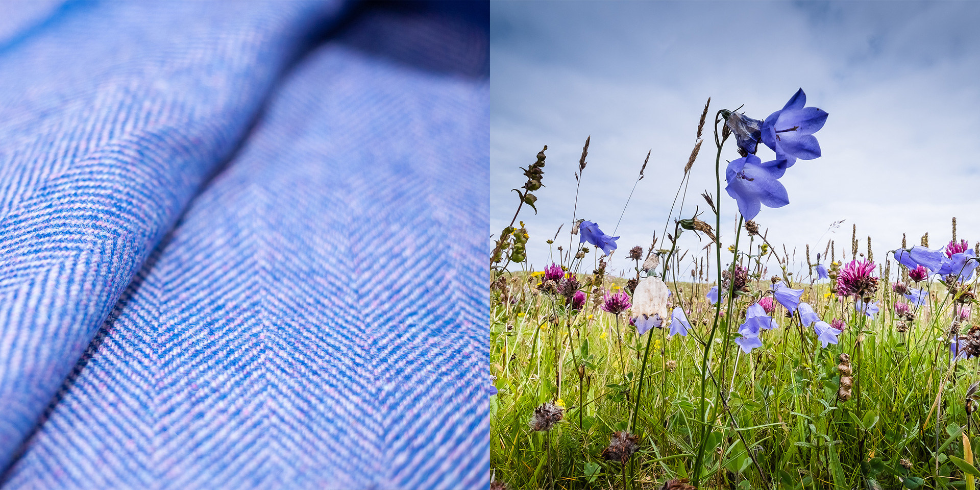 Harebell Herringbone - The Harris Tweed Authority