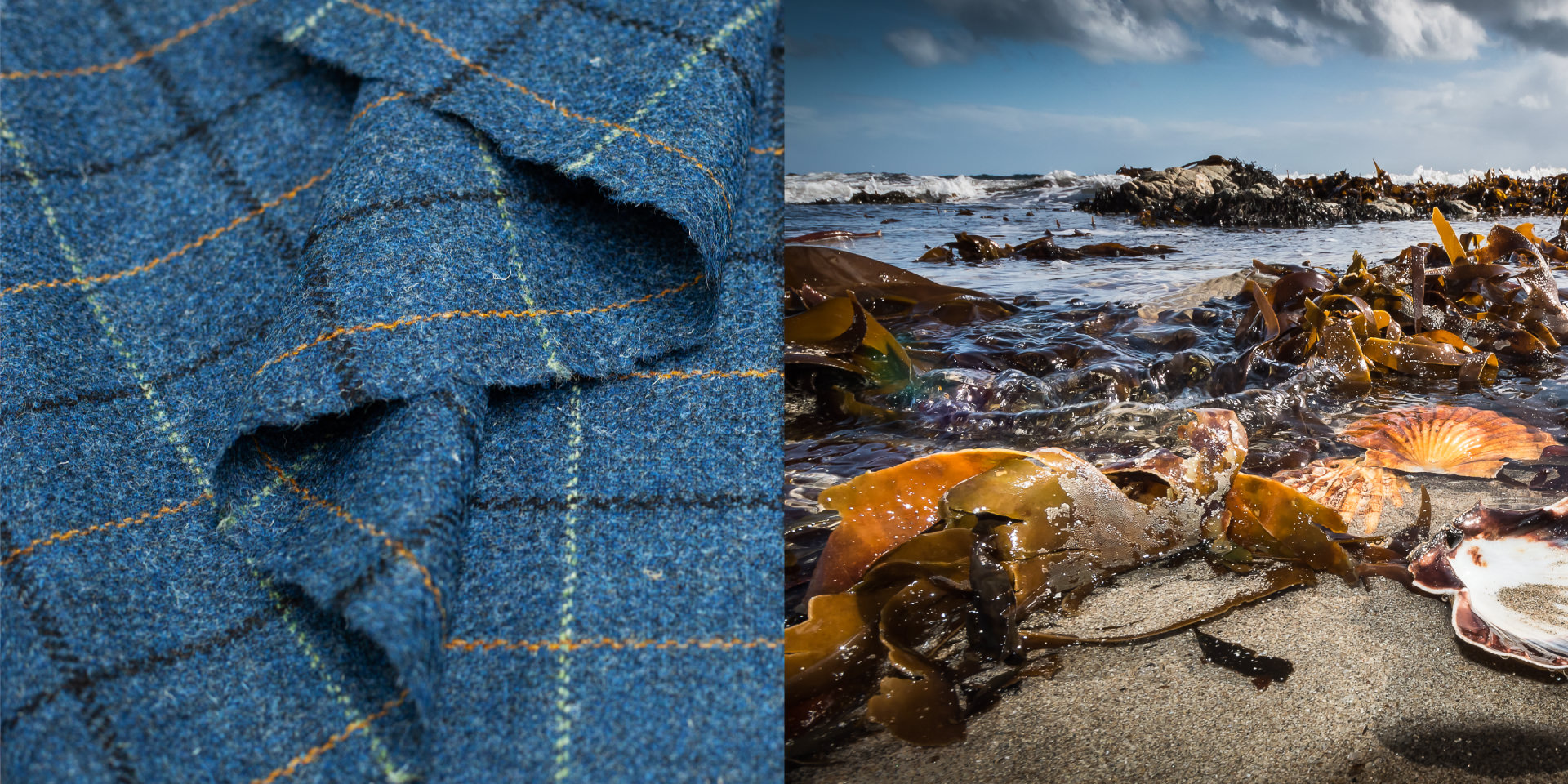 Seashells Seashore - The Harris Tweed Authority