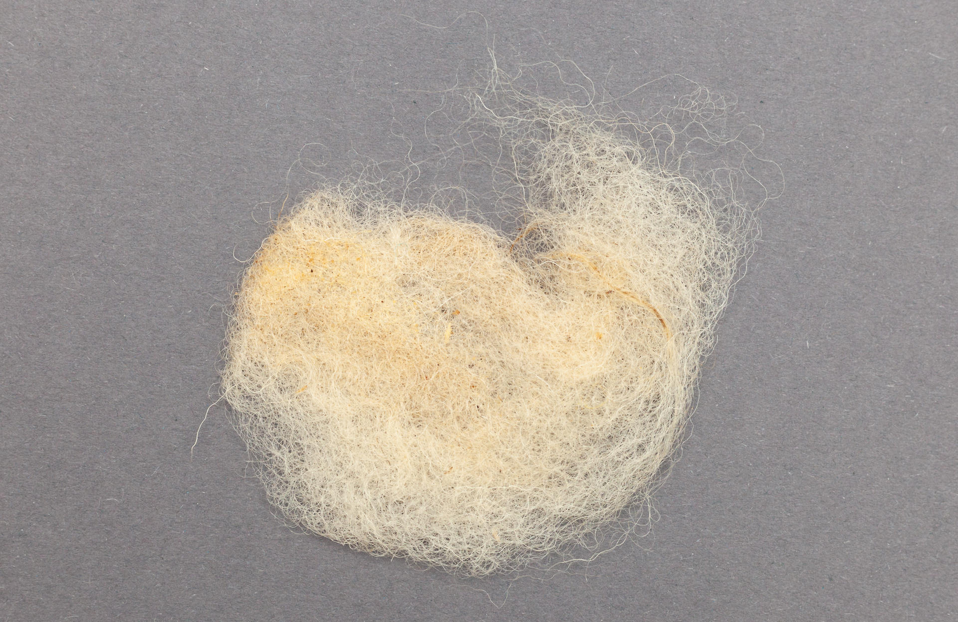 Harris Tweed® Word of the Week: Dirty Wool - The Harris Tweed Authority