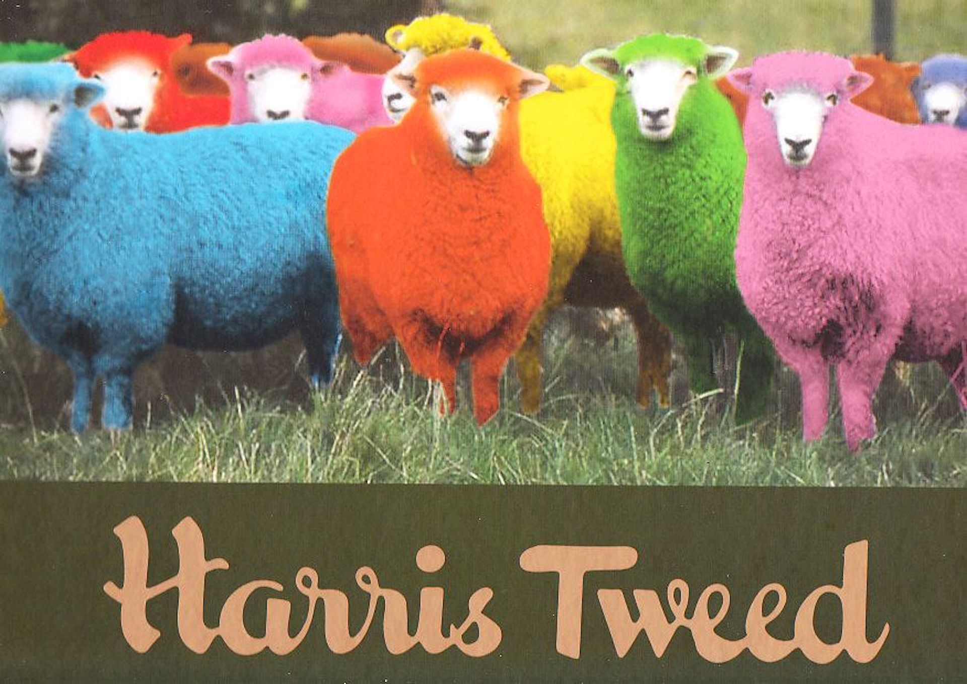 Tricks of Colour - The Harris Tweed Authority